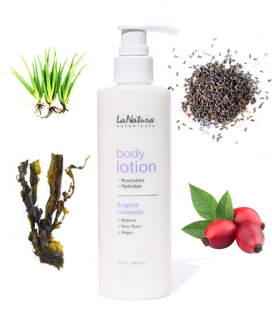 English Lavender Body Lotion – LaNatura