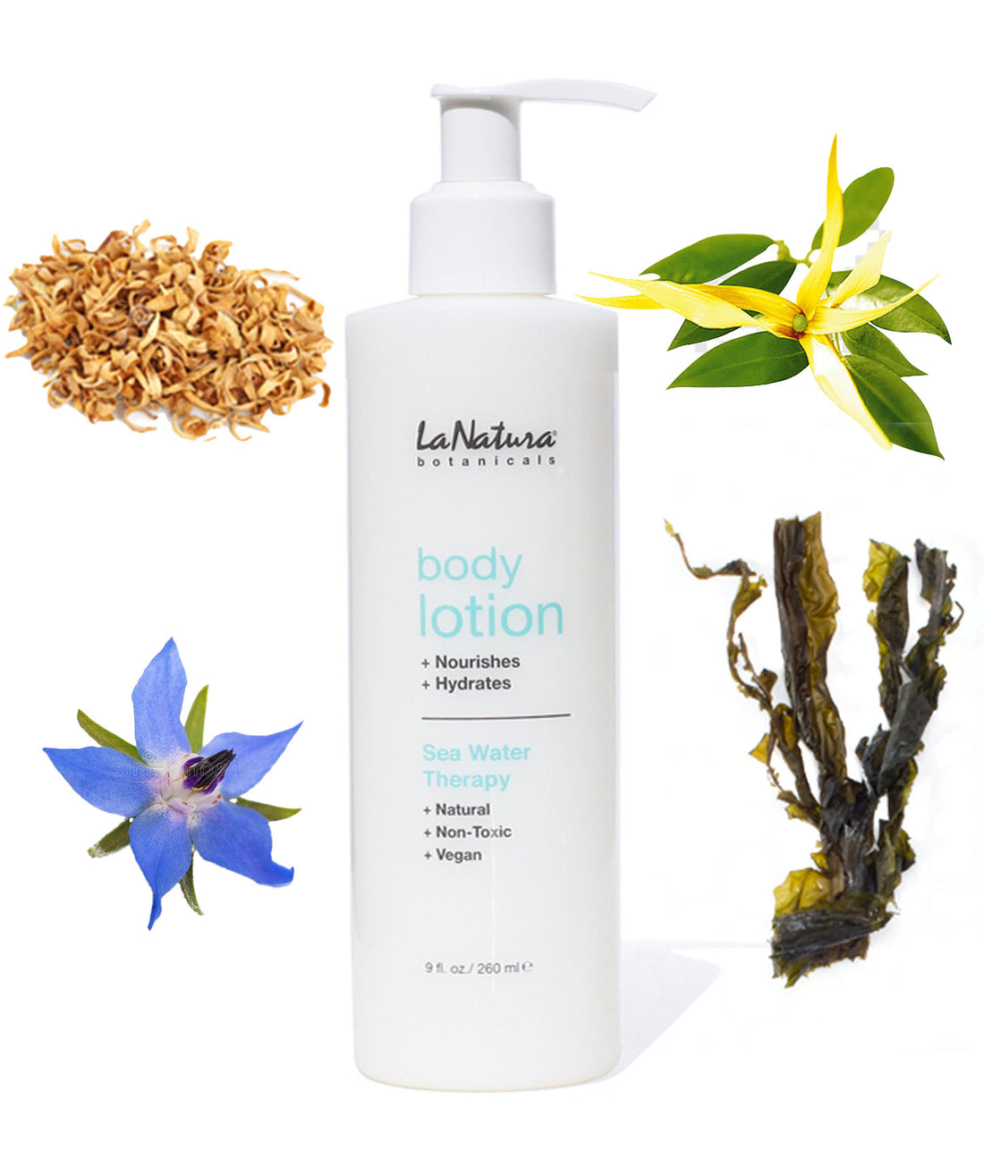 Sea Water Body Lotion – LaNatura